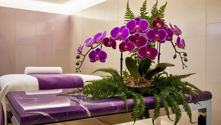 Brand New Feet Medical Foot Spa – Brand New Feet