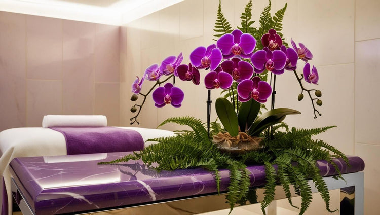 Brand New Feet Medical Foot Spa – Brand New Feet
